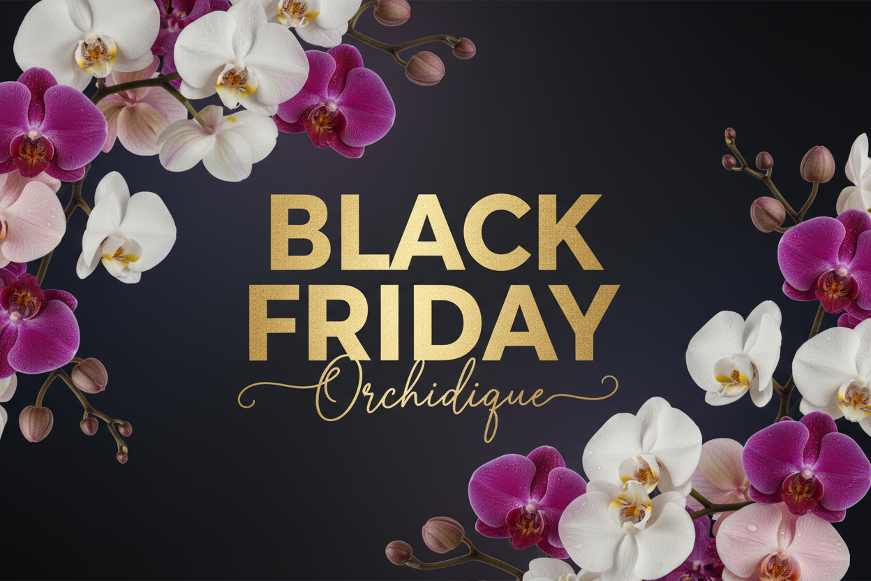 Black Friday Sale - Orchidique